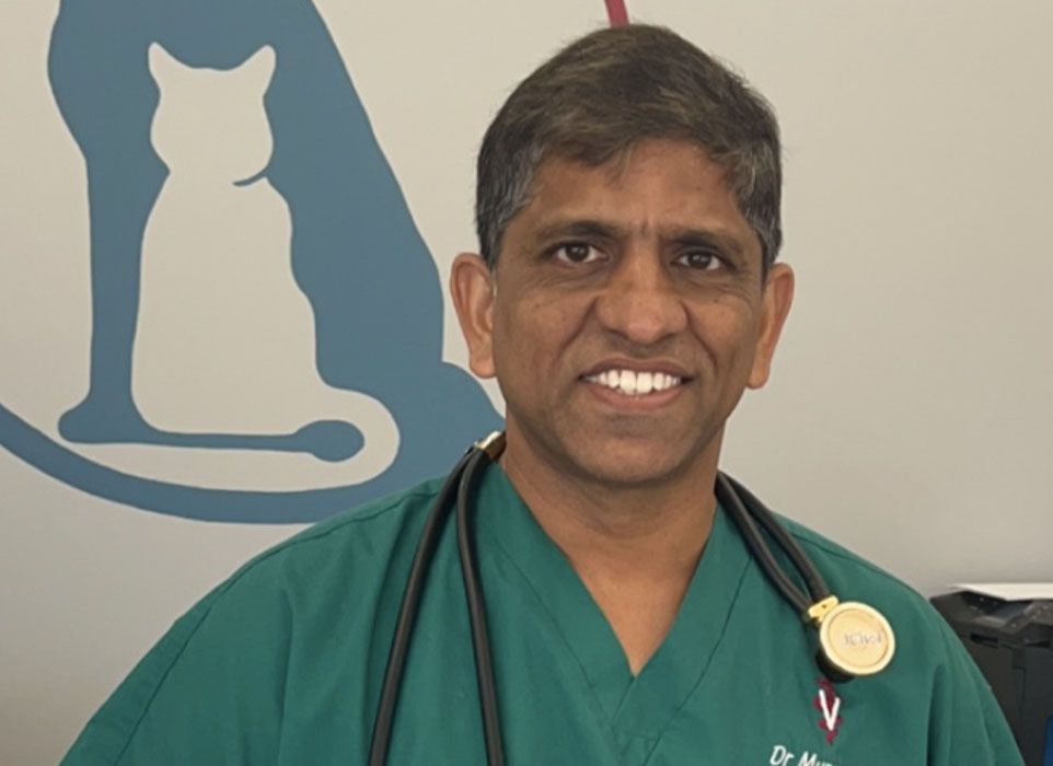 About Fido Pet Hospital | Veterinarian in Cumming, GA